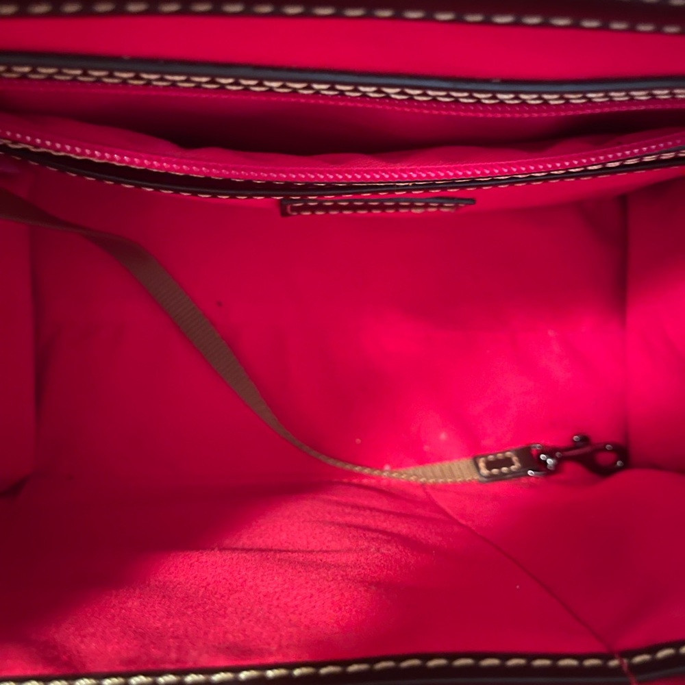 Rare Lady And The Disney Tramp Dooney And Bourke - Gem